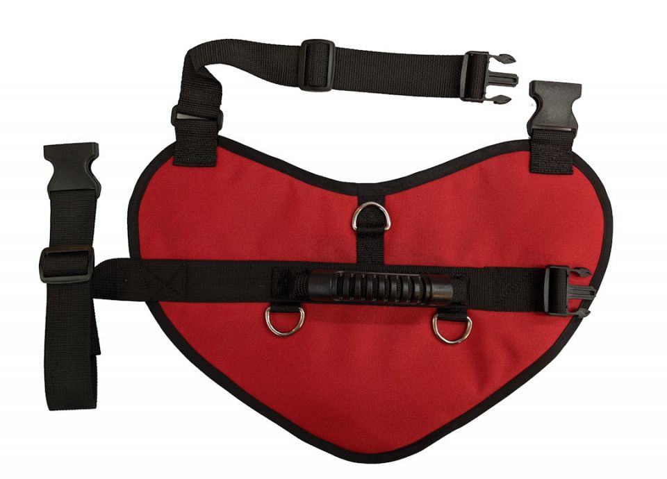 Cape Vest Service Dog